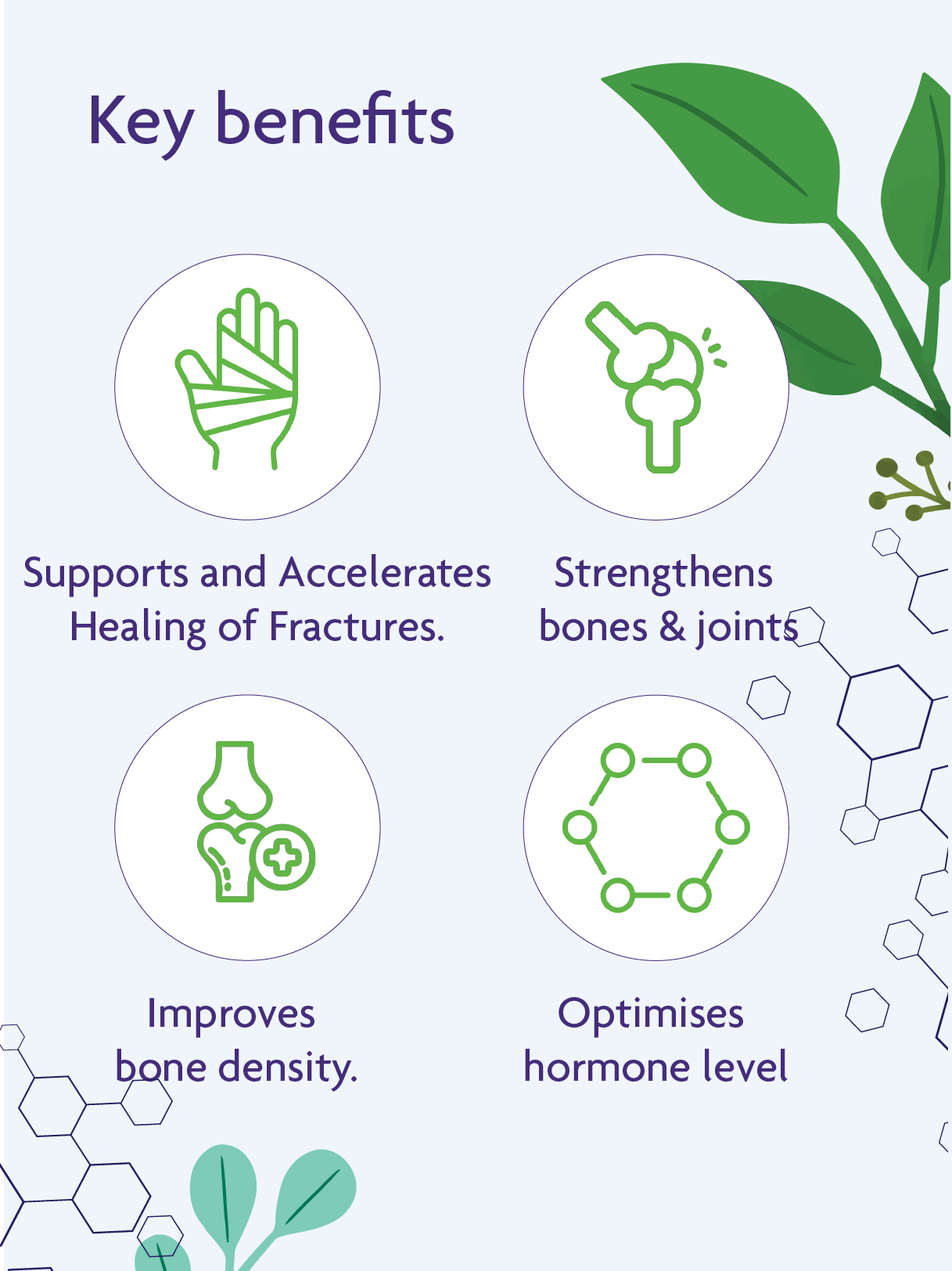 CISPLUS MAX – Biotics Life Store